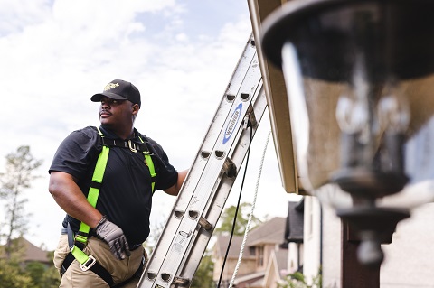 How to Get Rid of Squirrels in Attic - Critter Control